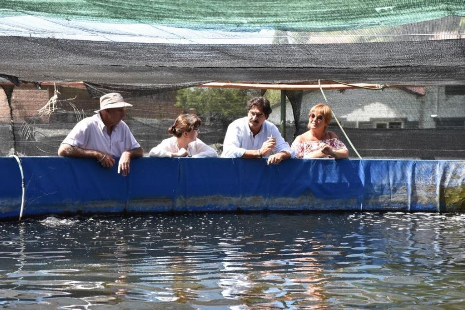 Repoblamiento con huevos y larvas de pejerrey en lagunas bonaerenses ...